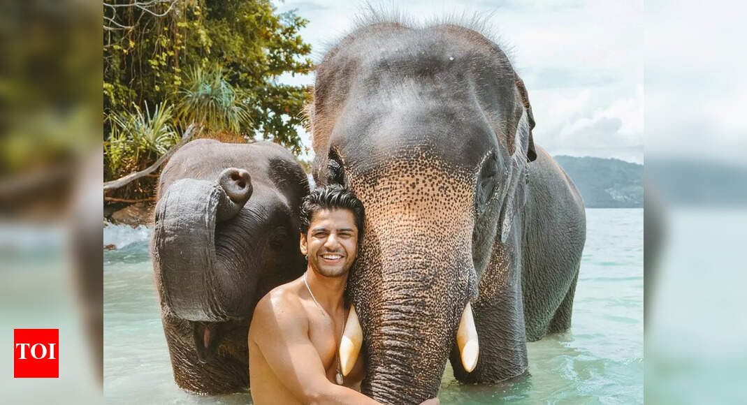 Krish Pathak shares videos of having a gala time with elephants in ...