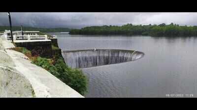 Selaulim dam opens for public after two years | Goa News - Times of India