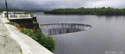 Selaulim dam opens for public after two years | Goa News - Times of India