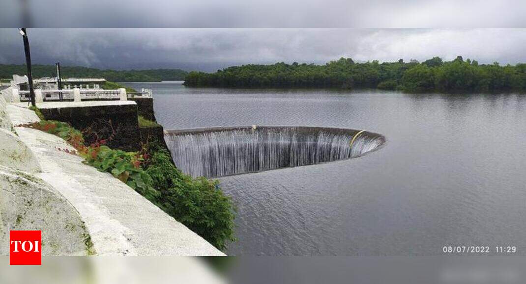 Selaulim dam opens for public after two years | Goa News - Times of India