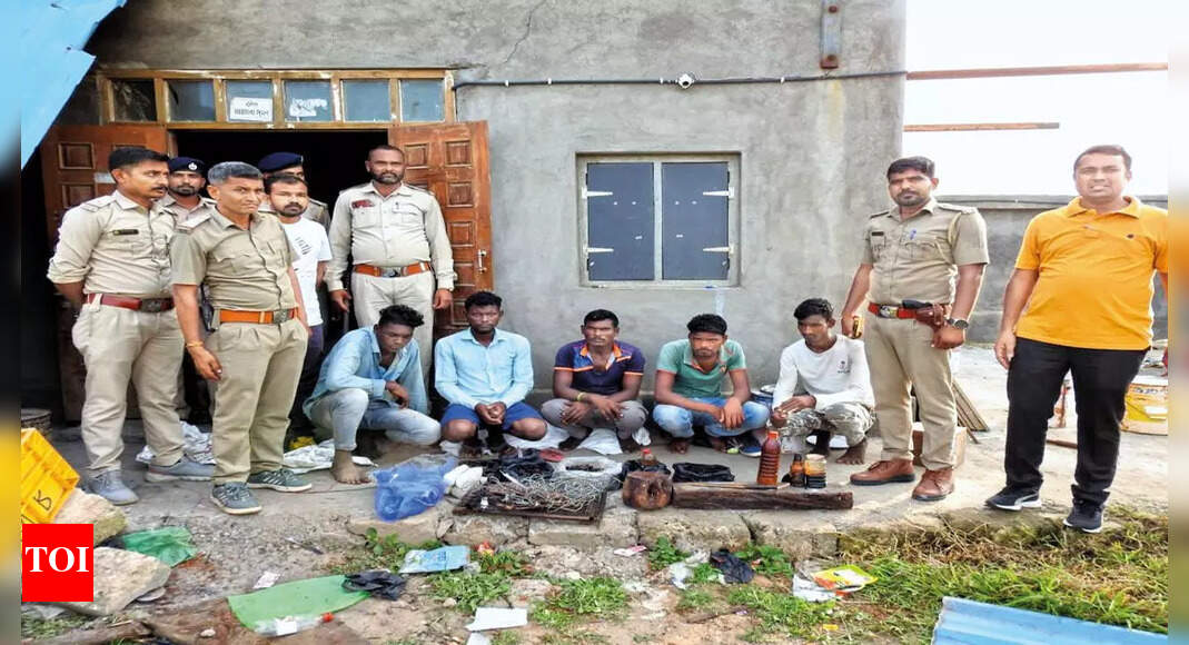 Una: 5 Held With Remains Of Hunted Animals | Rajkot News - Times of India