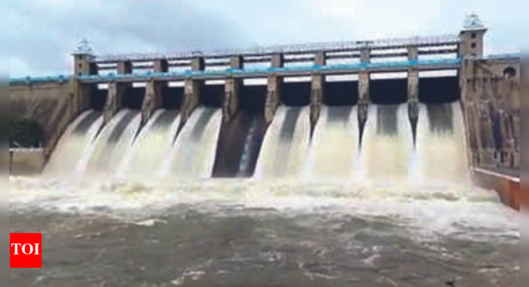 Amaravathi In Spate, Flood Alert Sounded | Coimbatore News - Times of India