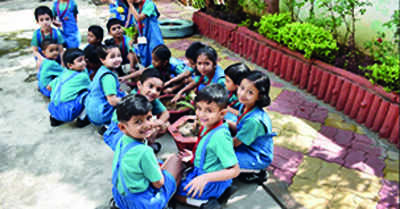 Cubs: Sos Cubs Spread Message Of Save Environment | - Times of India