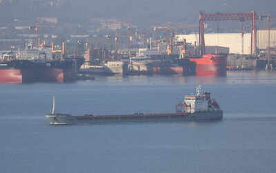Ukraine: First ship carrying maize from Ukraine reaches final ...