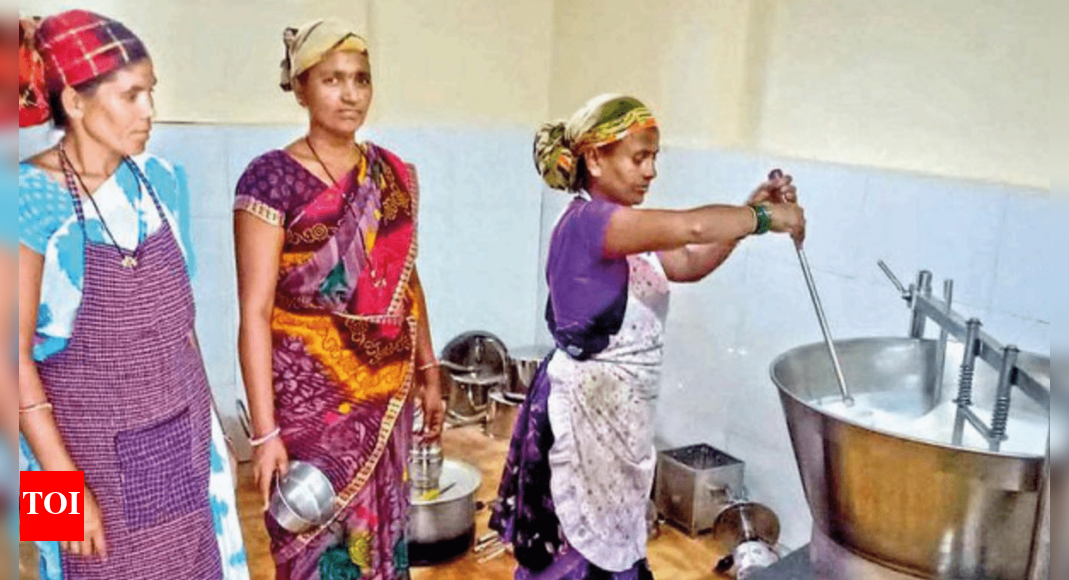 Dang: Dang Women Milk Success From Dairy Items | Surat News - The Times ...