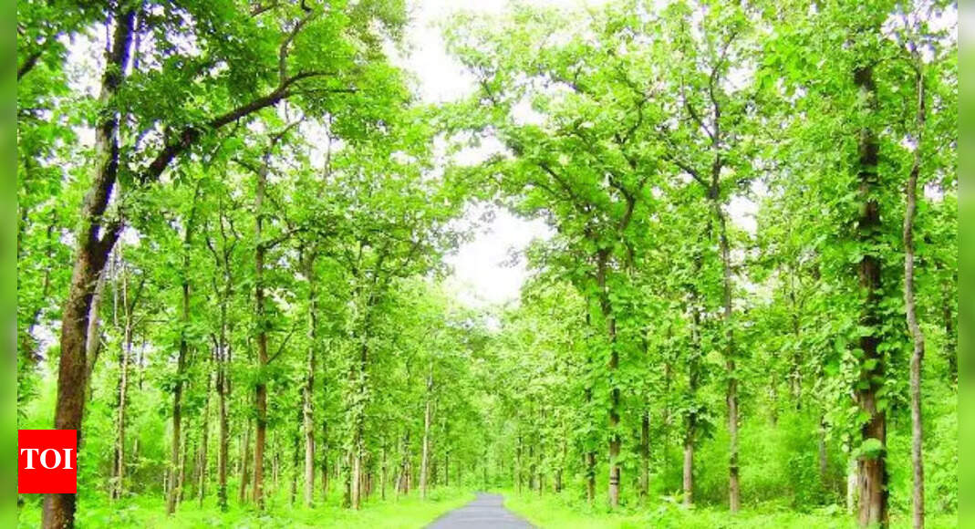 Community Forest Resource Rights: Forest Rights Campaign From Aug 15 ...