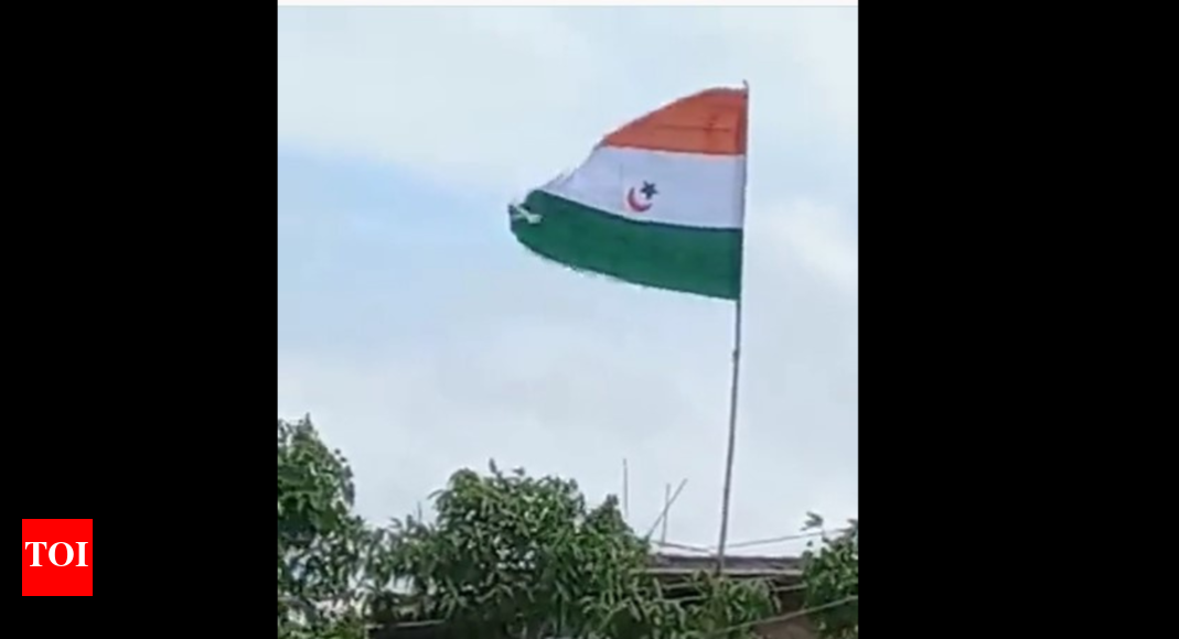 Video of defaced flags hoisted in Bihar's Muzaffarpur goes viral ...