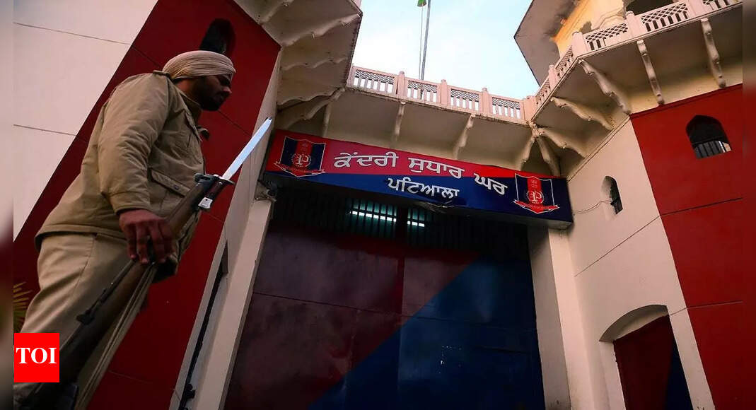 Inmate escapes from Patiala jail hours before court appearance ...