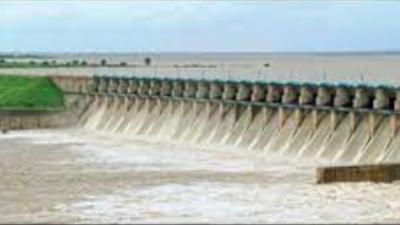 Pune: Water released from 17 reservoirs in Bhima basin | Pune News ...