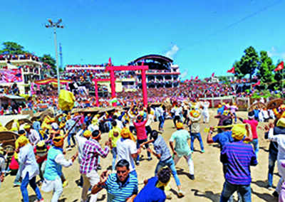 Bagwal Festival Celebrated, Cm Dhami Attends Event | Dehradun News ...