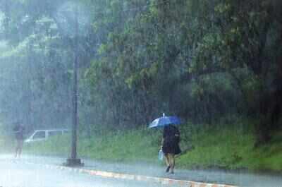 Light to moderate rain to continue for few more days | Goa News - Times ...