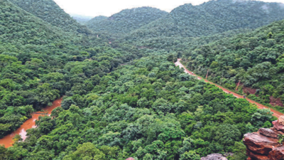 Karnataka: Independence Day assumes greater significance for Sandur ...