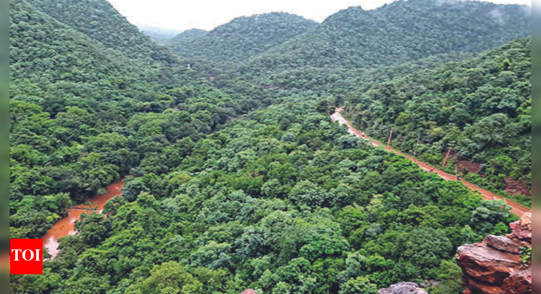 Sandur: Karnataka: Independence Day assumes greater significance for ...