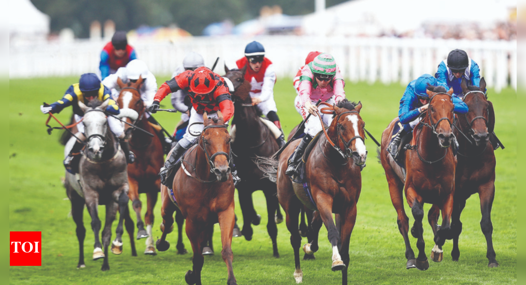 Royal Revive Plate: Falcon Edge Claims Royal Revive Plate | Hyderabad ...