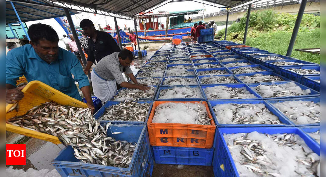 India turns 75: Unlocking the full potential of fisheries sector ...