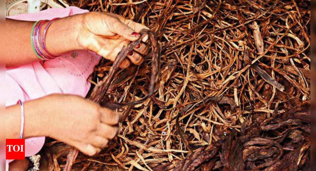 798 Bidi Workers From 8 Districts Of State Identified For Skill Devpt ...