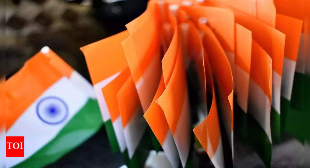 Revellers leave Chennai streets littered with plastic flags | Chennai ...