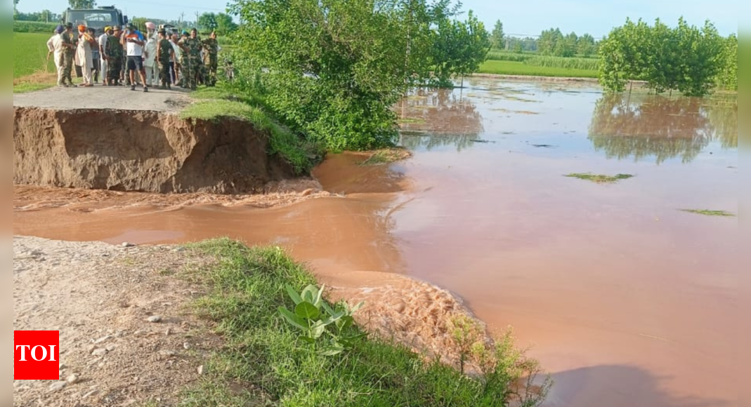 Overflowing Ravi river poses threat to BSF’s border outposts | Amritsar ...