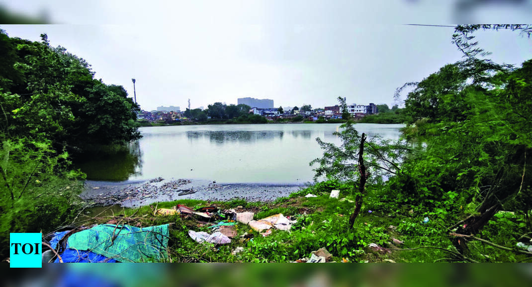 After 15 Years, Thaltej Lake To Get Makeover | Ahmedabad News - Times ...