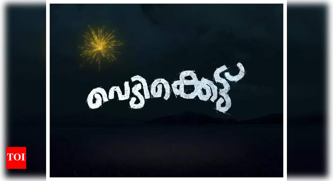 Its a wrap for Vishnu Unnikrishnan - Bibin George’s ‘Vedikettu ...