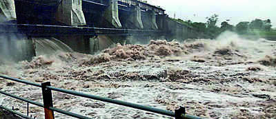 Panel To Assess Ground Reality Of Local Dams & Water Bodies | Indore ...