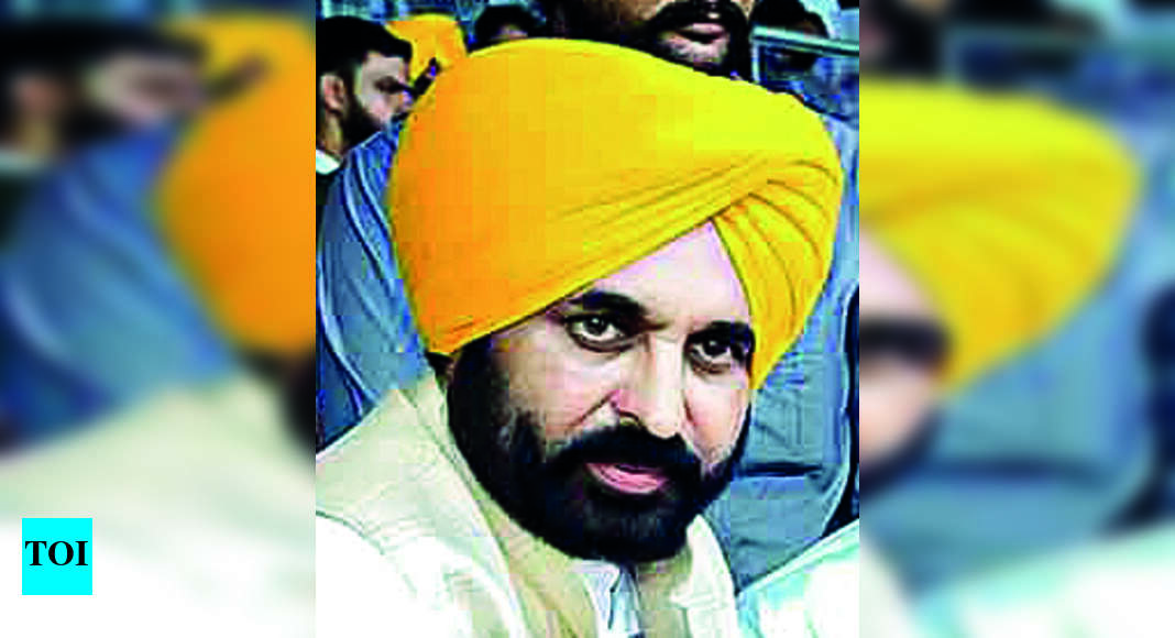 Mann: Mann Orders High-level Probe Into Pearls Scam | Chandigarh News ...