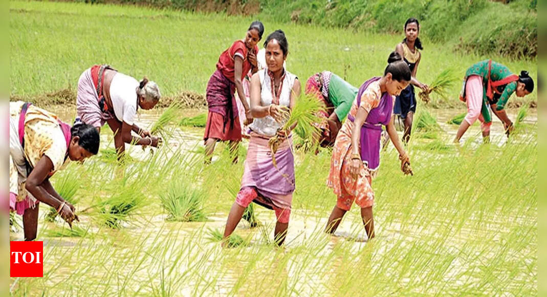 Sdma: Disaster Mgmt To Assess Drought Situation Next Wk | Ranchi News ...