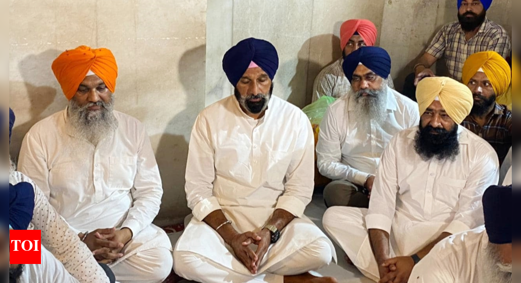 Sikh: SAD(B) seeks release of Sikh prisoners | Amritsar News - Times of ...