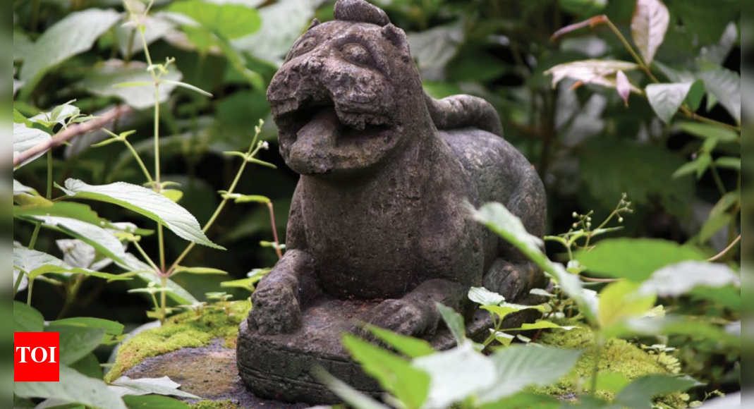 In Goa, tiger presence felt not just in forests, but also temples | Goa ...