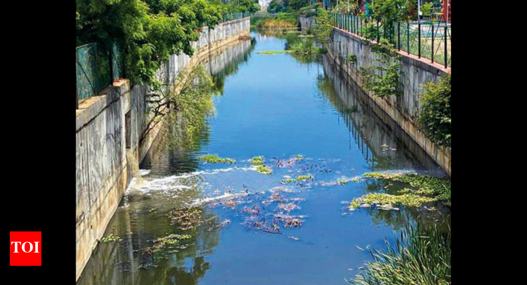 Chennai: Raw sewage let into Buckingham Canal irks visitors to park ...