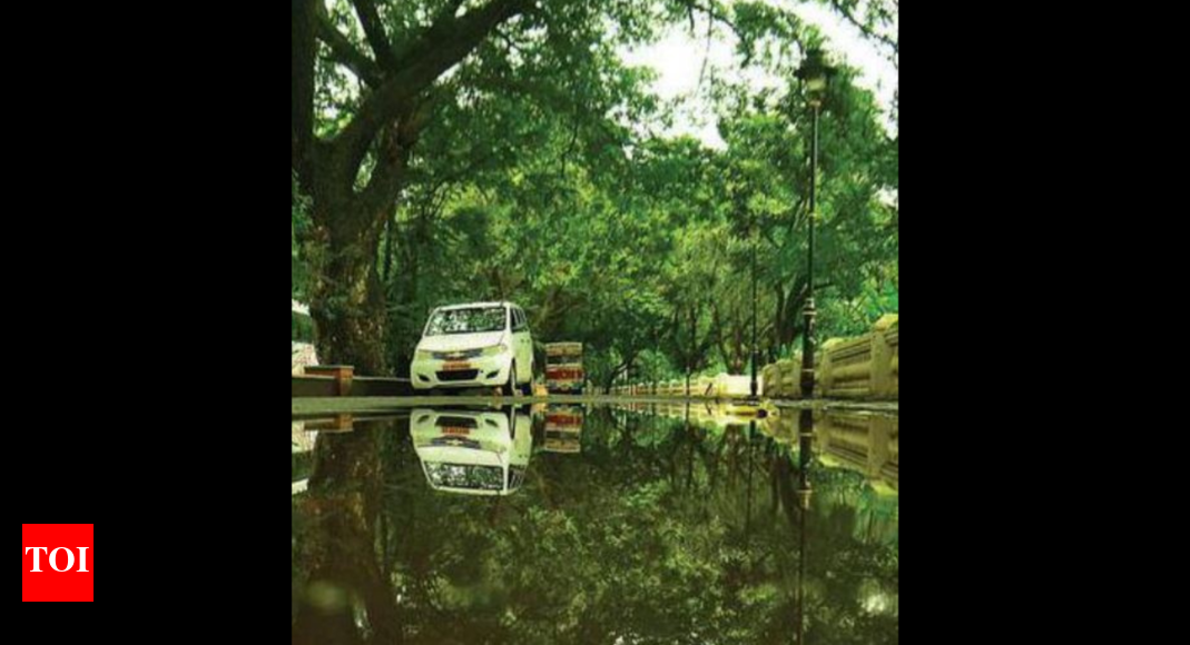 First uploading of tree census data by September 15: Goa government to ...