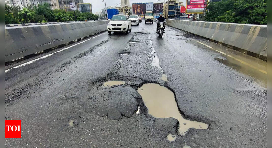 Avert 'man-made disasters' on roads: HC | India News - Times of India