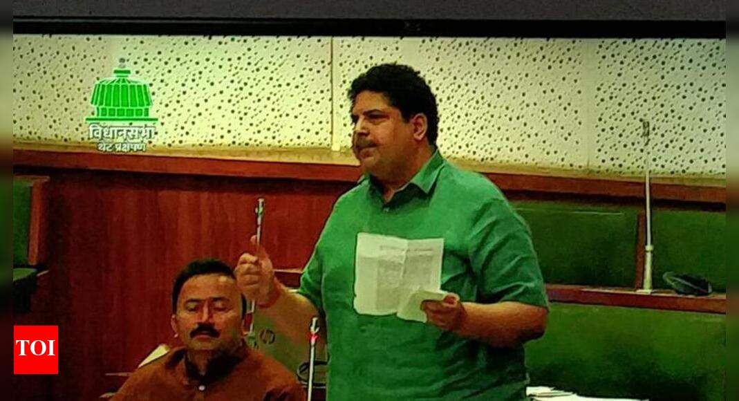 Land mafia in Gondia getting police and political patronage: MLA ...