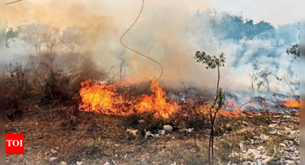 Soon, Clean Air Action Plan For State | Gurgaon News - Times of India