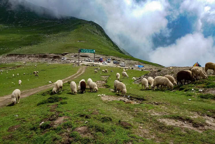 Kashmir: Offbeat yet stunning places that you shouldn't skip | Times of ...