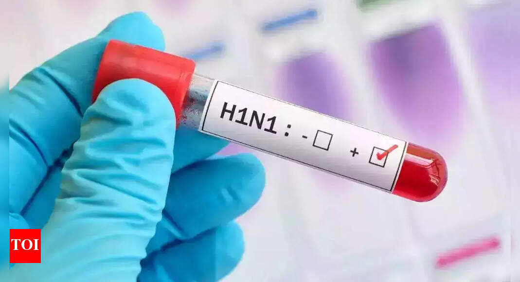 Mumbai H1n1 Dengue Deadliest In Rains As 6 Die In June July Mumbai