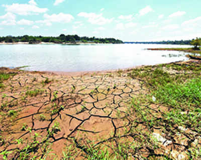 Suchitwa Mission Help For Periyar Revival | Kochi News - Times of India