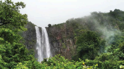 Dodamarg: Goa: Dodamarg villagers want their forests to be notified as ...