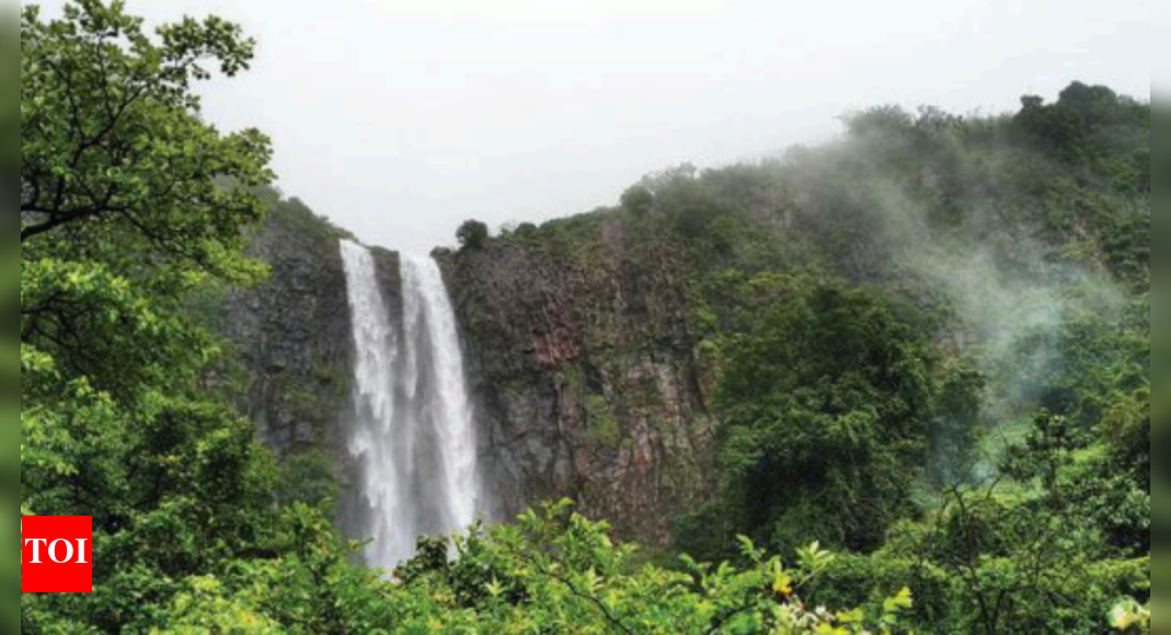 Dodamarg: Goa: Dodamarg villagers want their forests to be notified as ...