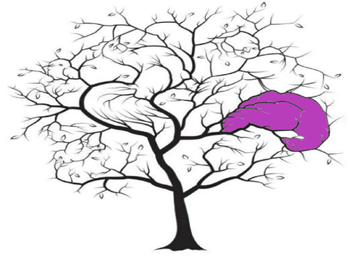 Hidden Pictures Within Drawings