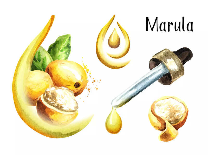 Marula Oil Benefits: All you need to know about the magical Marula oil