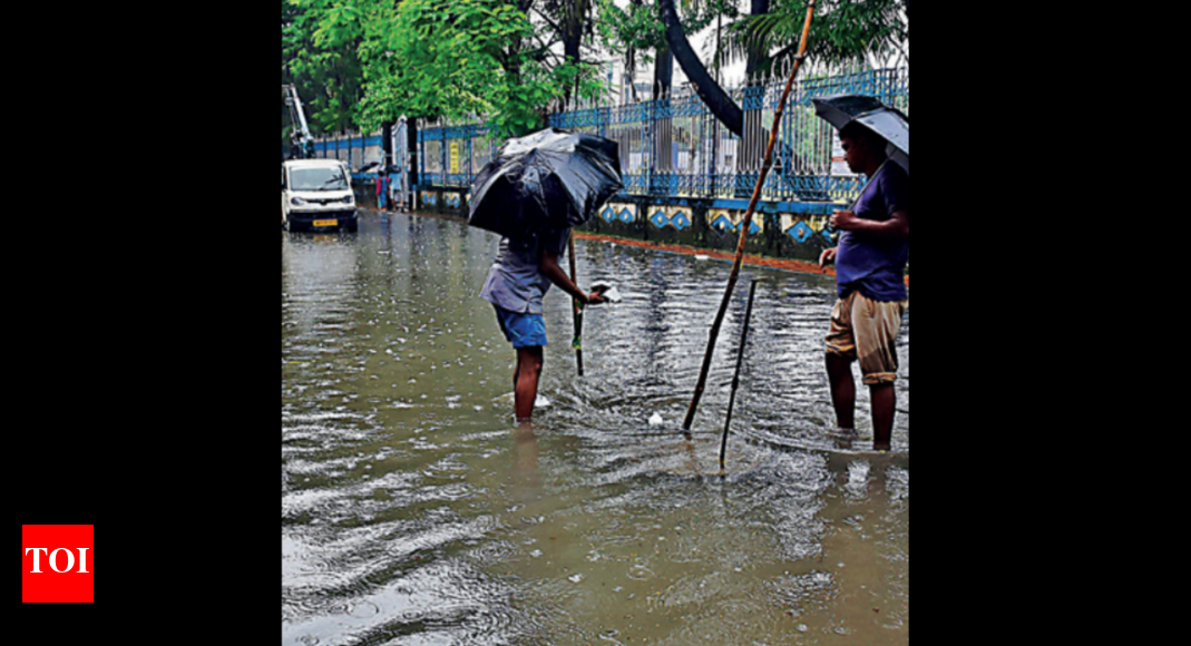 Bhowanipore: Kolkata: Bhowanipore pumping station to prevent flooding ...