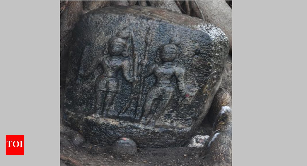 Hero stone found near Tirupur | Coimbatore News - Times of India