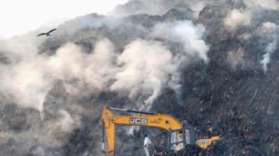 Delhi: Private orders of 10,000 tonne waste, inert from landfills in a ...