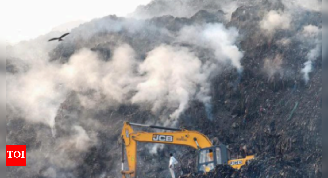 Delhi: Private orders of 10,000 tonne waste, inert from landfills in a ...