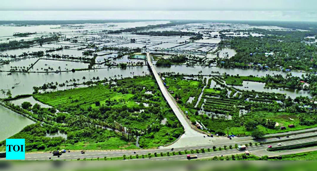 Kochi: Kiifb Allots 43 Crore For Key Bridge Project | Kochi News ...