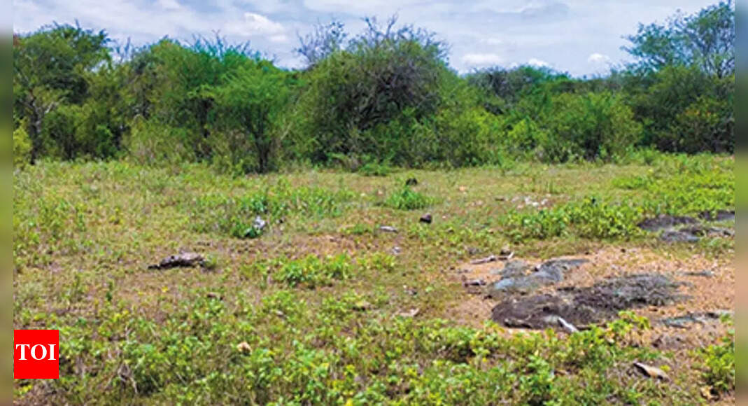 Wildlife Rescue Centre To Be Set Up In Sirumugai Forest | Coimbatore ...