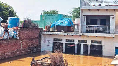 Chambal River Crosses High Flood Level Mark, Over 38 Agra Villages Hit ...