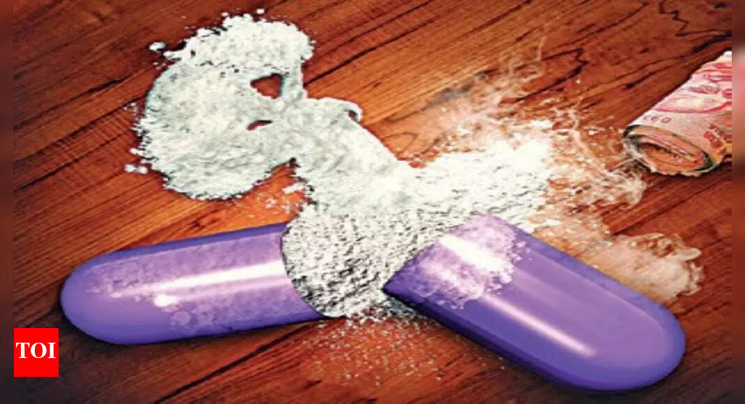 Bsf: Bsf Thwarts Drugs Smuggling Bid In Samba | Jammu News - Times of India