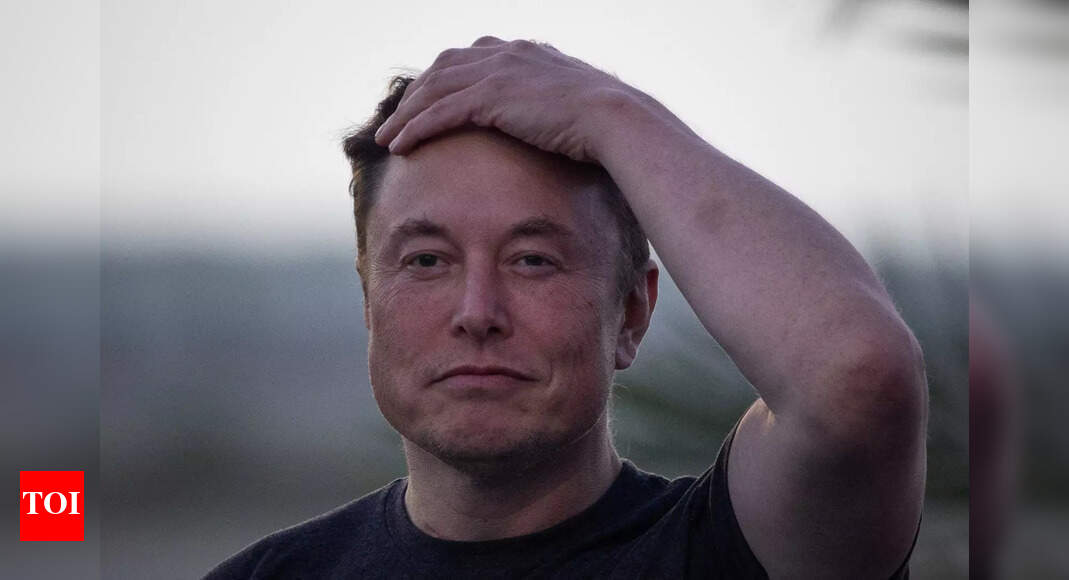 Musk: Elon Musk tests limits of governance by having children with aide ...